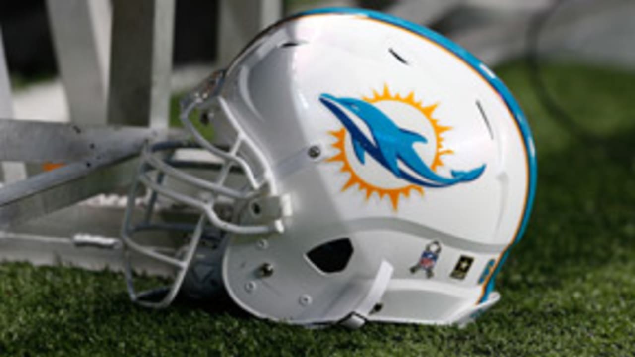 Miami Dolphins deliver 500 meals to area families for Thanksgiving