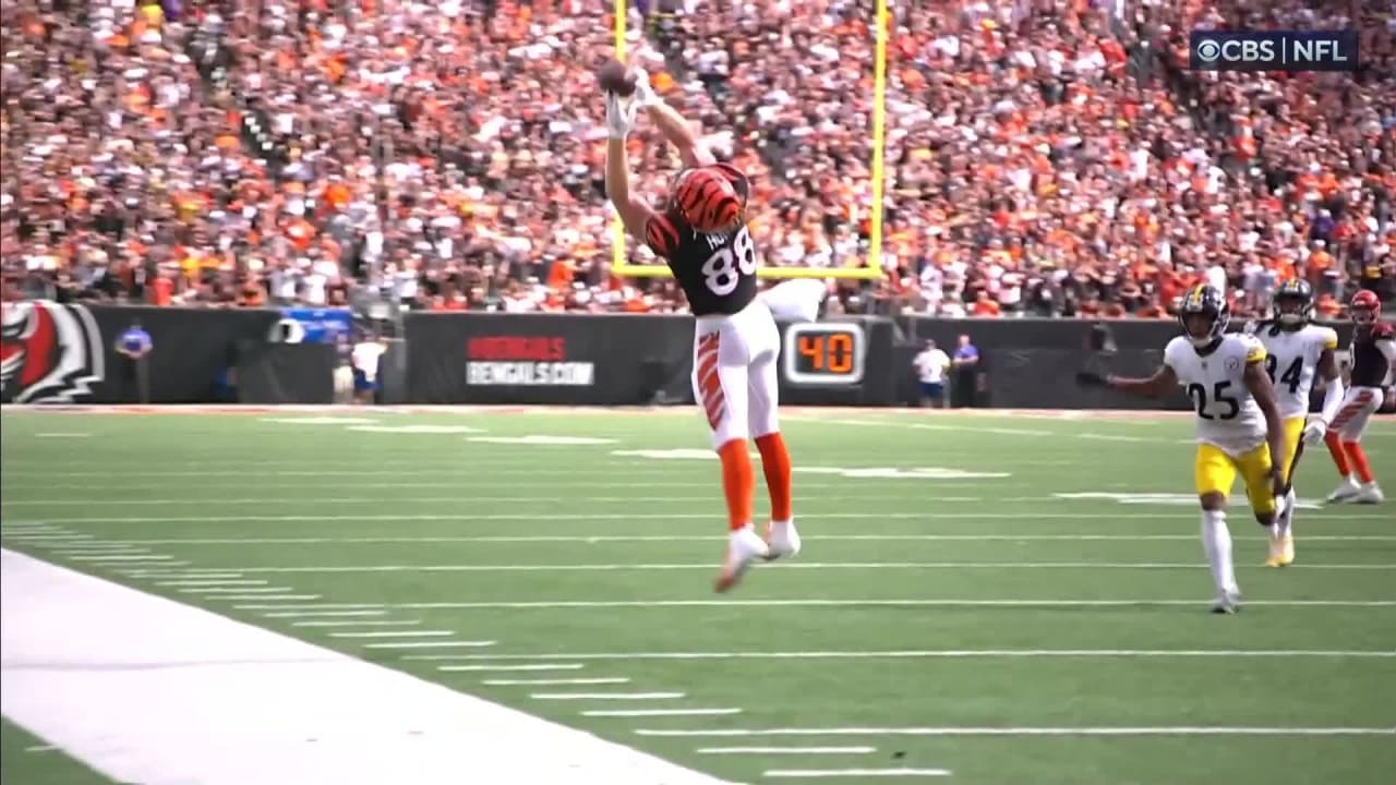 Cincinnati Bengals tight end Hayden Hurst's 20-yard toe-tap catch ...