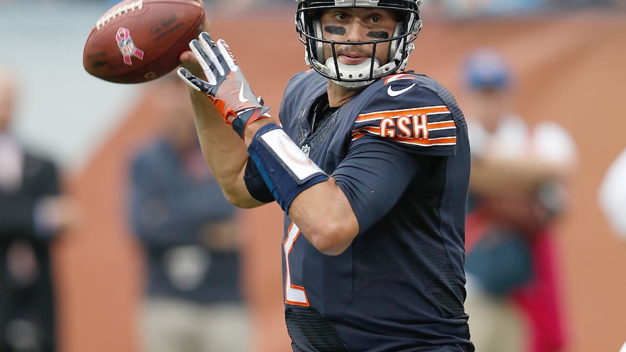 Brian Hoyer signs two-year deal with Niners