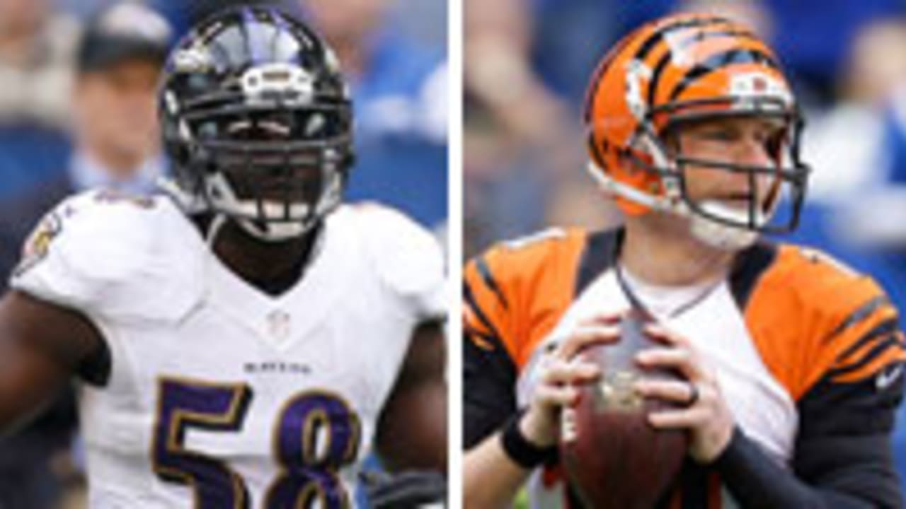 Week 8 viewer's guide