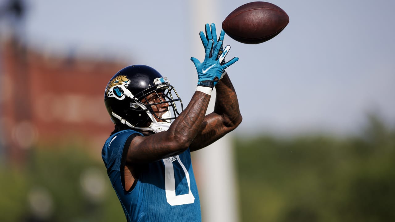 NFL Network's Sara Walsh: Jacksonville Jaguars wide receiver Calvin ...