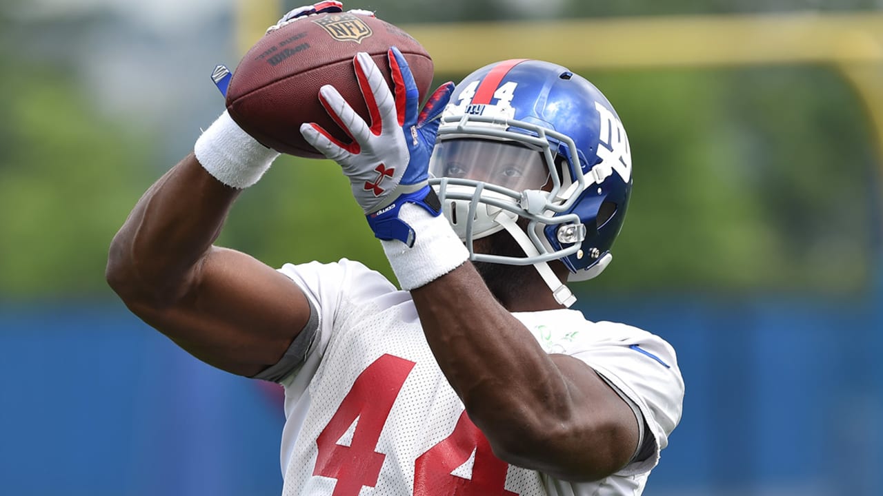 Andre Williams provides a thinking man's SB guarantee