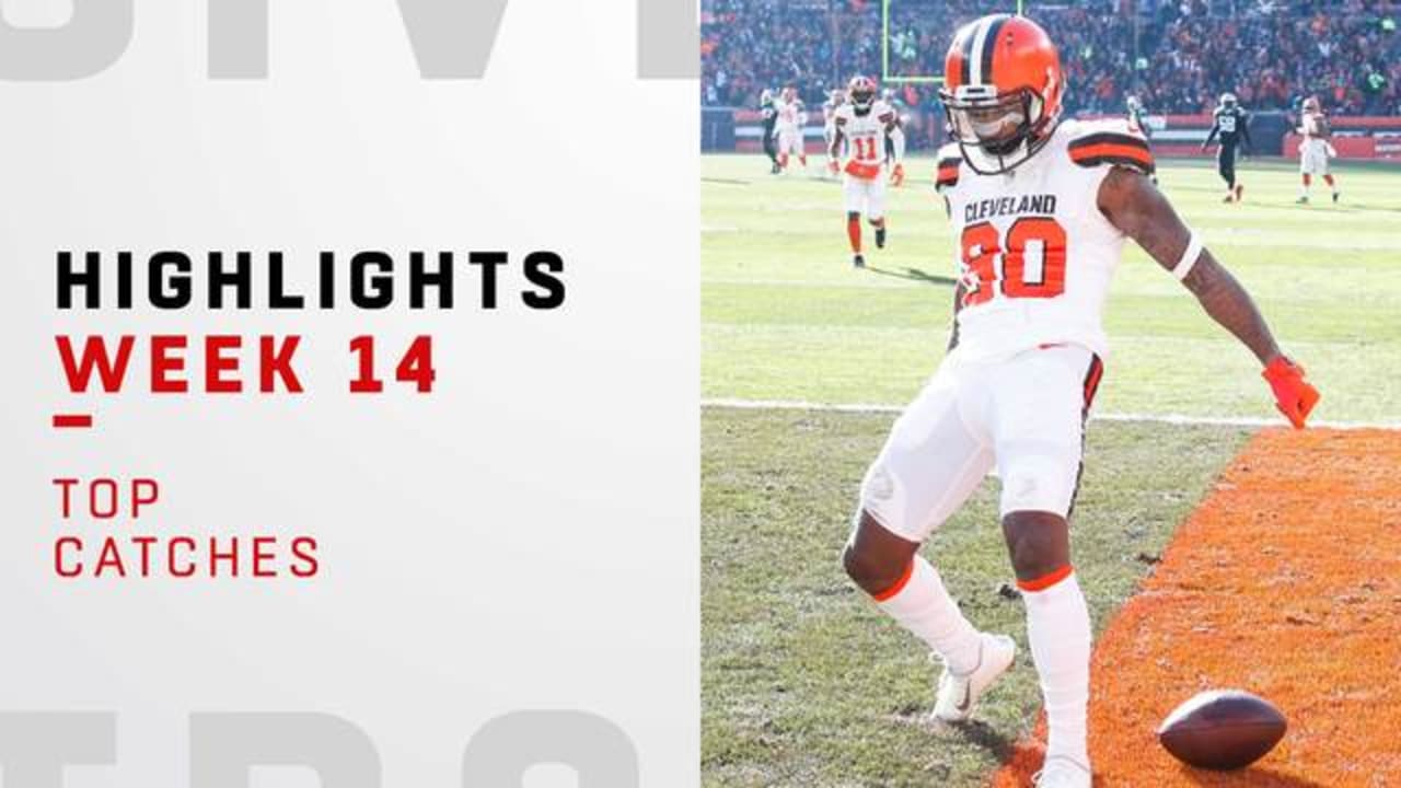 Top Catches of Week 14