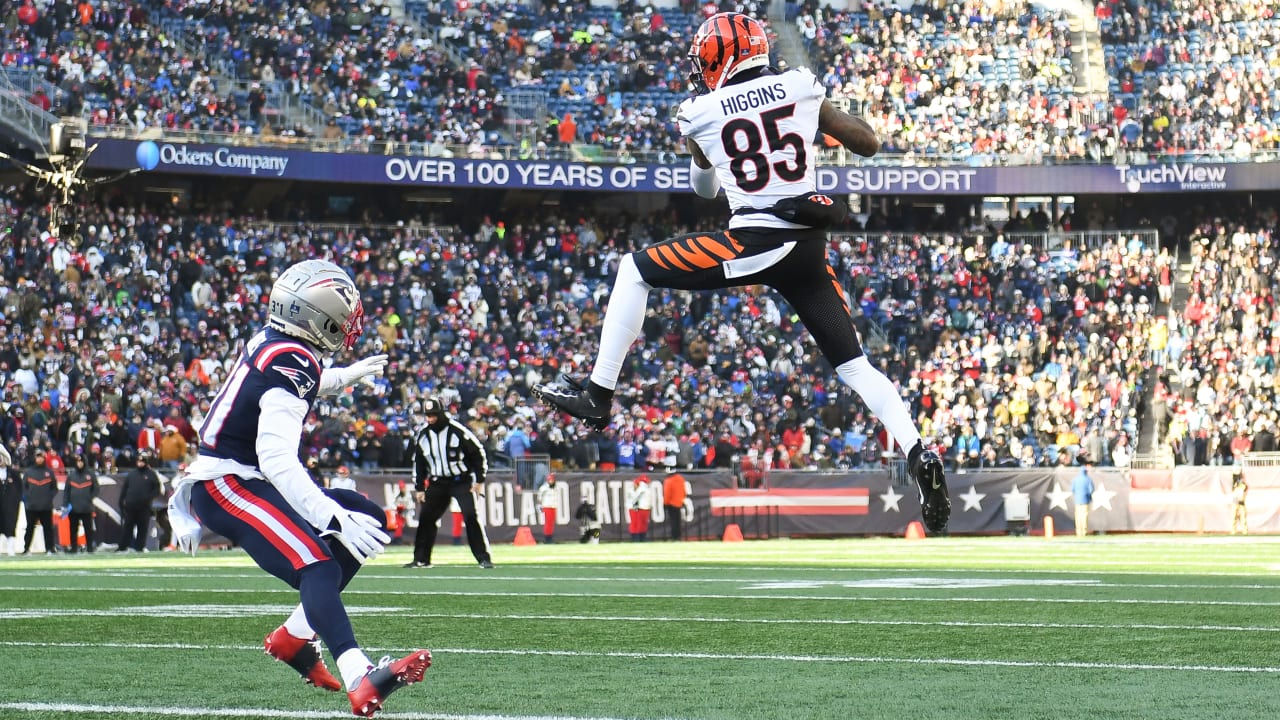 Tee Higgins' top career plays