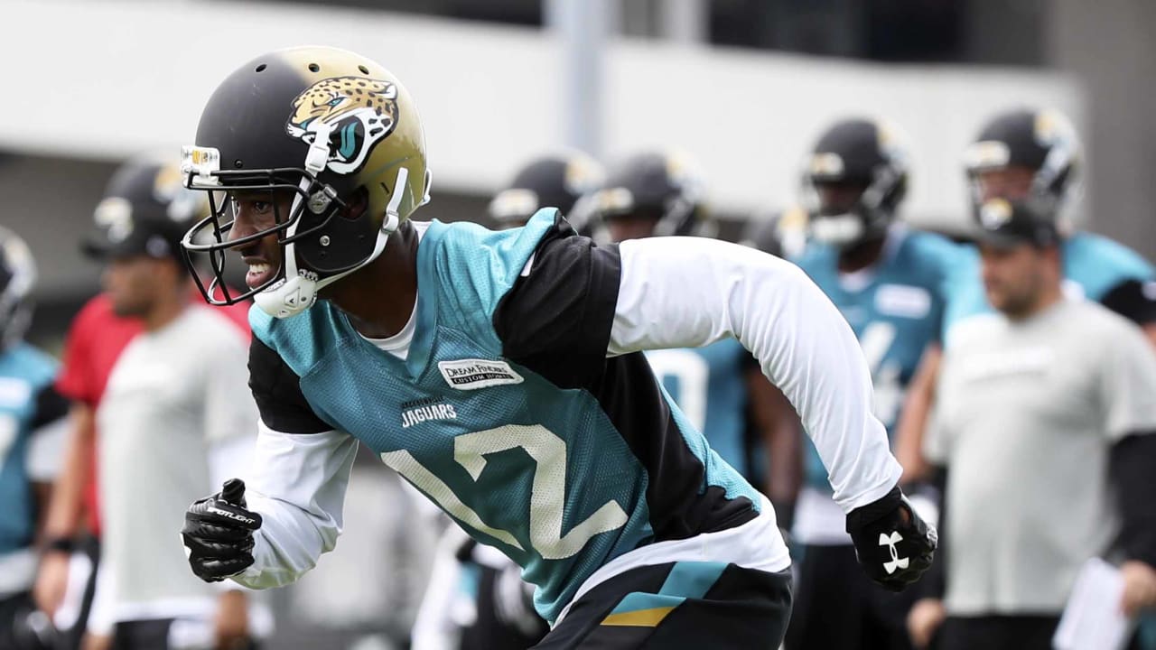 Jags WR Dede Westbrook expects 200 yards in debut