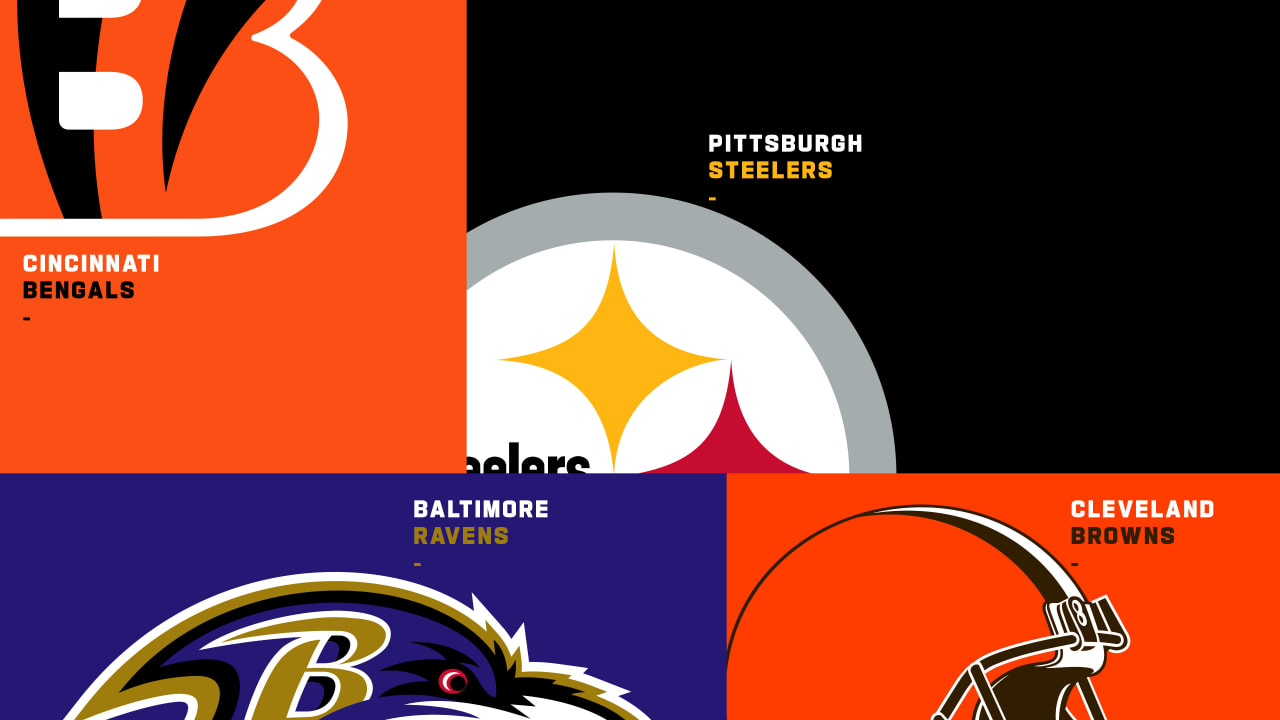 How Every Team In The AFC North Got Its Colors