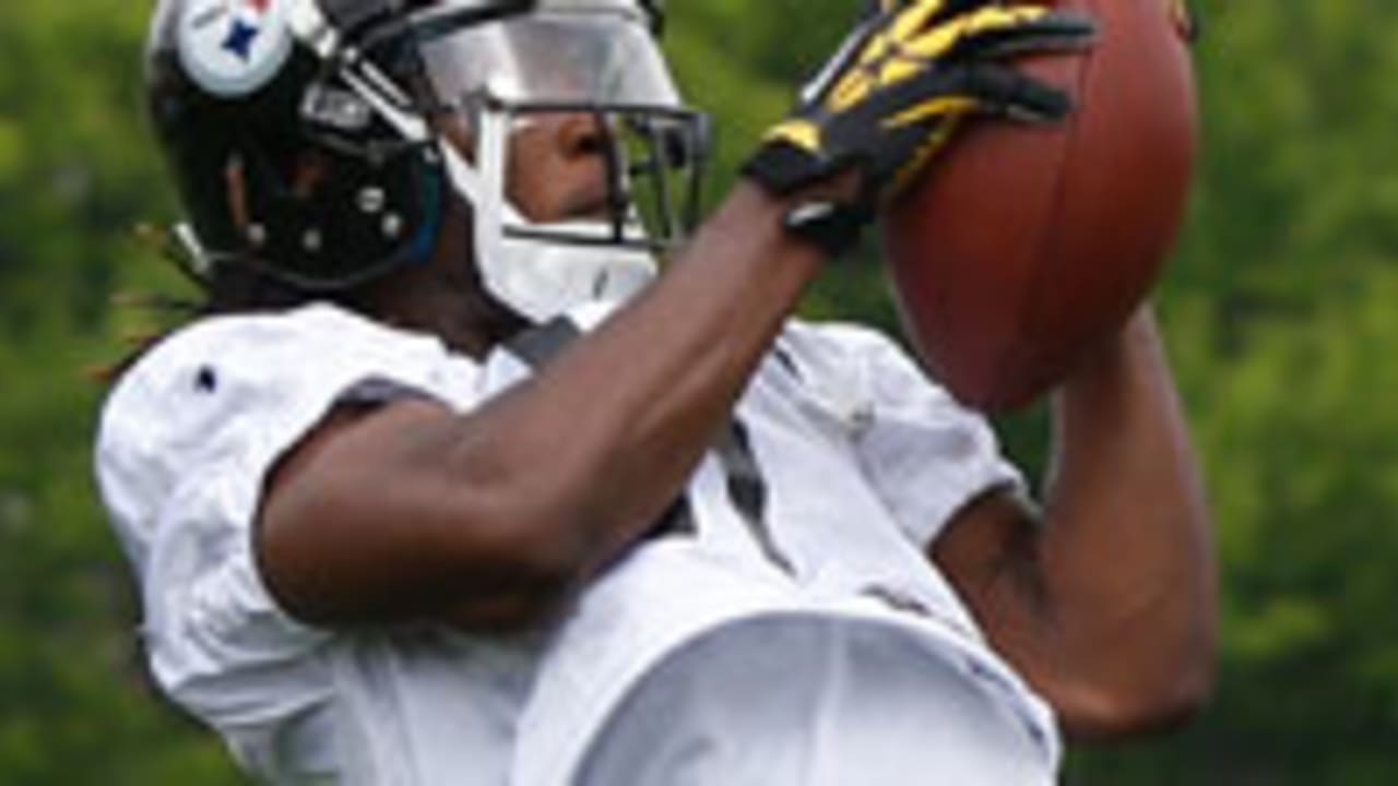 Making the Leap, No. 20: Markus Wheaton