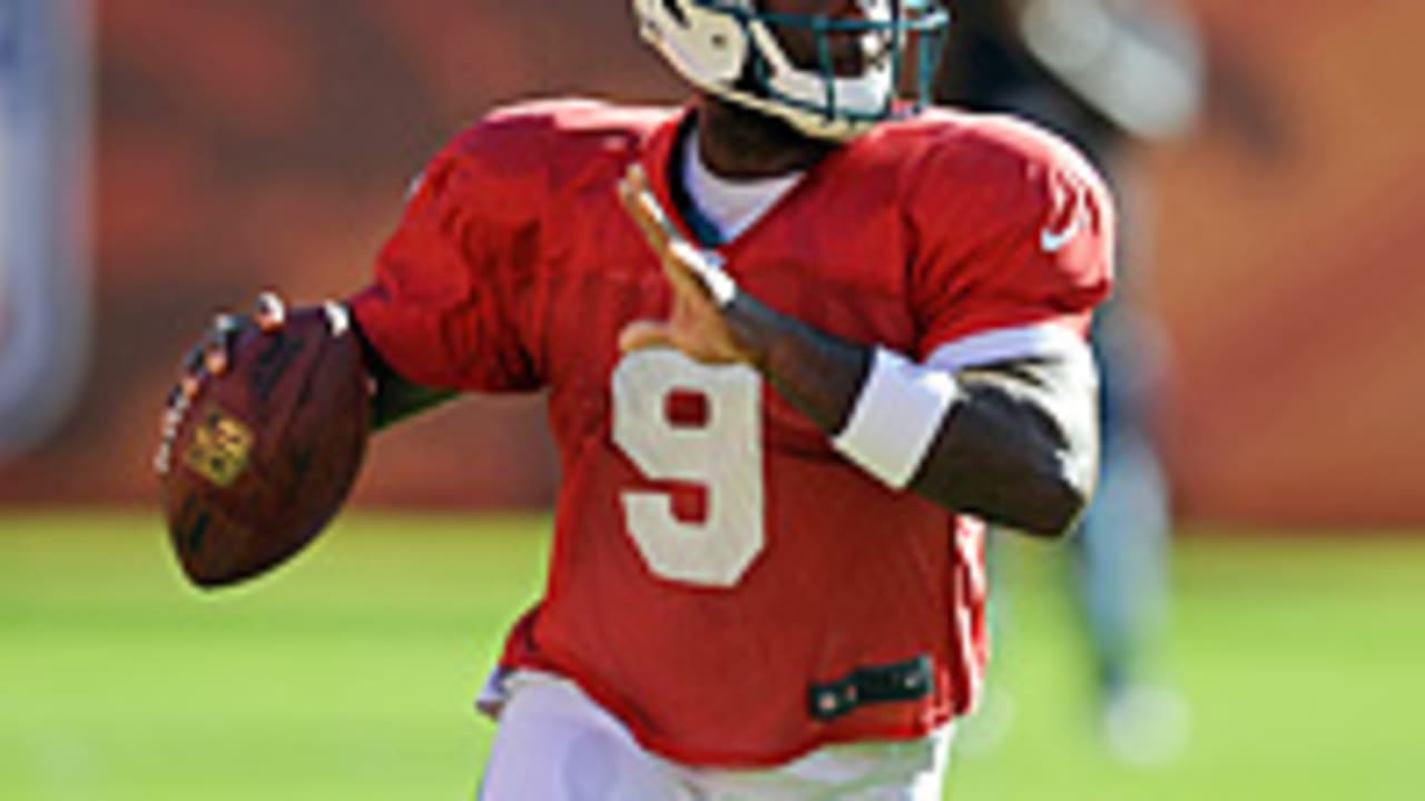 David Garrard vows to 'be back' for Miami Dolphins