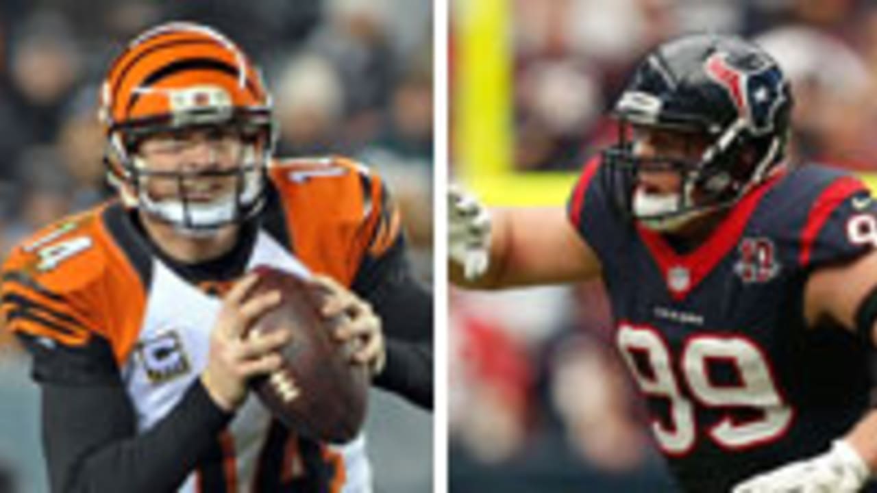 Wild Card Weekend: Cincinnati Bengals at Houston Texans