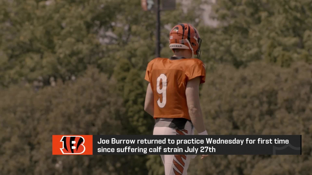 NFL Network's Cameron Wolfe's top storylines to watch in Cincinnati ...