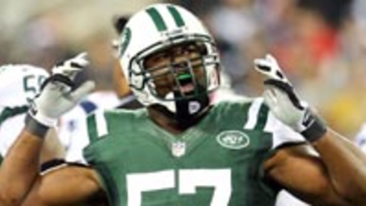 Bart Scott sidelines NFL career for TV analyst gig