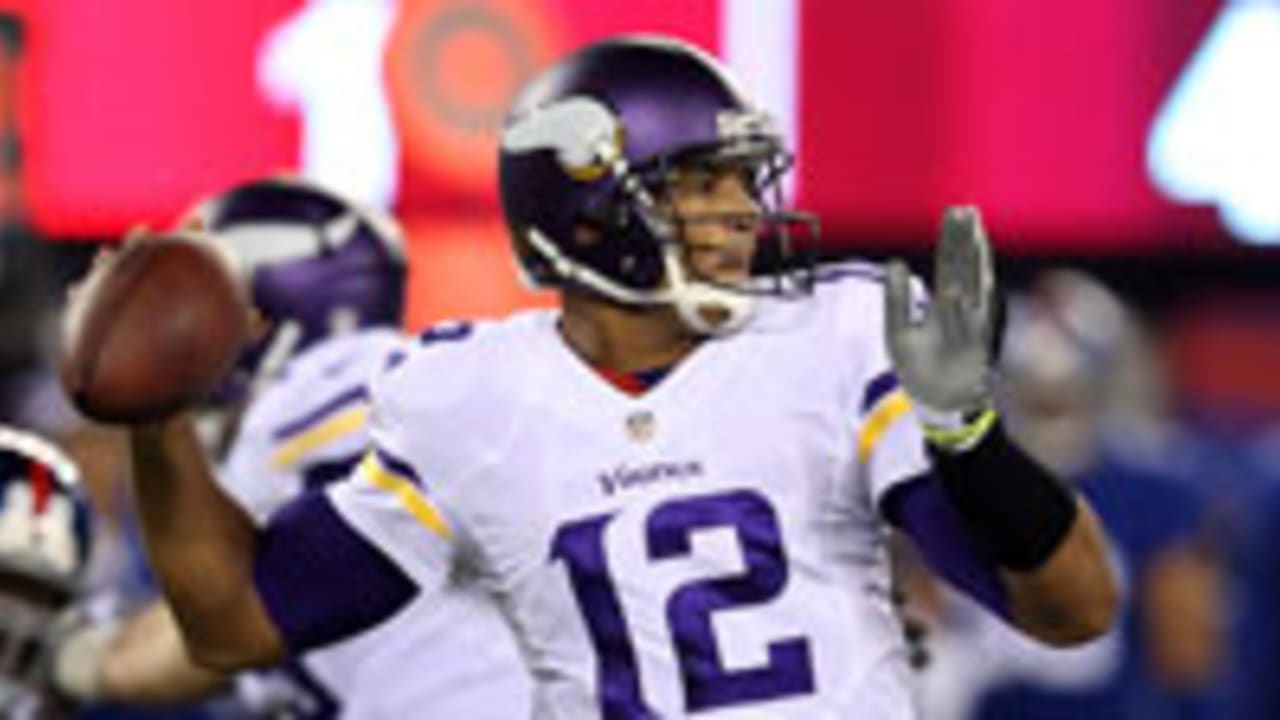 Josh Freeman Vikings
