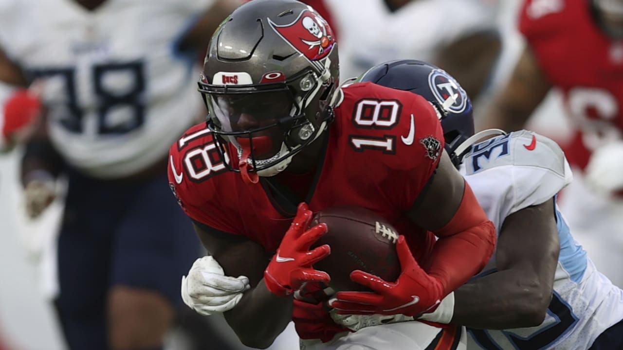 Tampa Bay Buccaneers wide receiver Tyler Johnson reels in tough grab ...