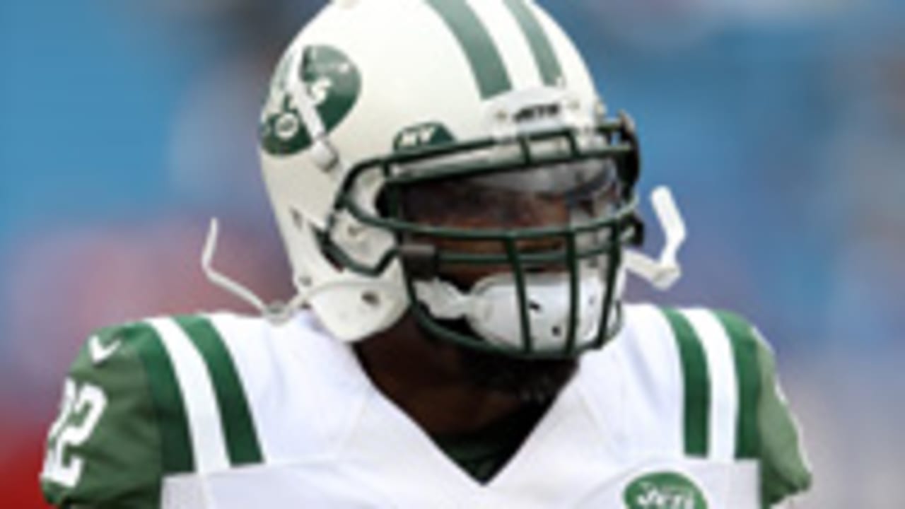 Ed Reed: I can still play in NFL despite 2013 season