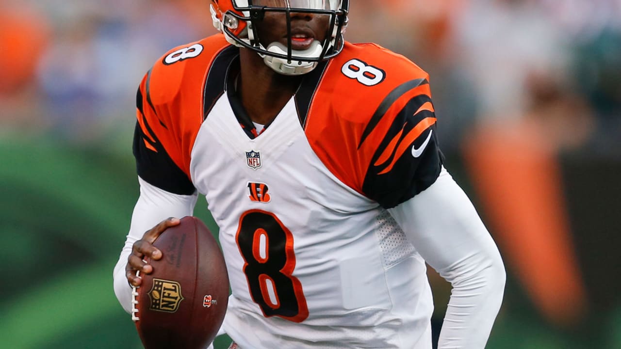 New York Jets add Josh Johnson to stable of QBs