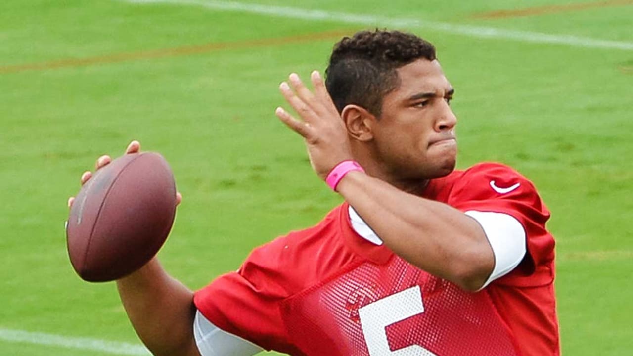 Miami Dolphins release QB Josh Freeman