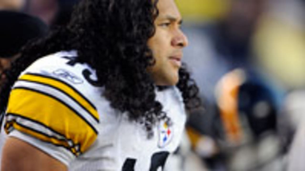 Troy Polamalu wins poll for NFL's most popular player
