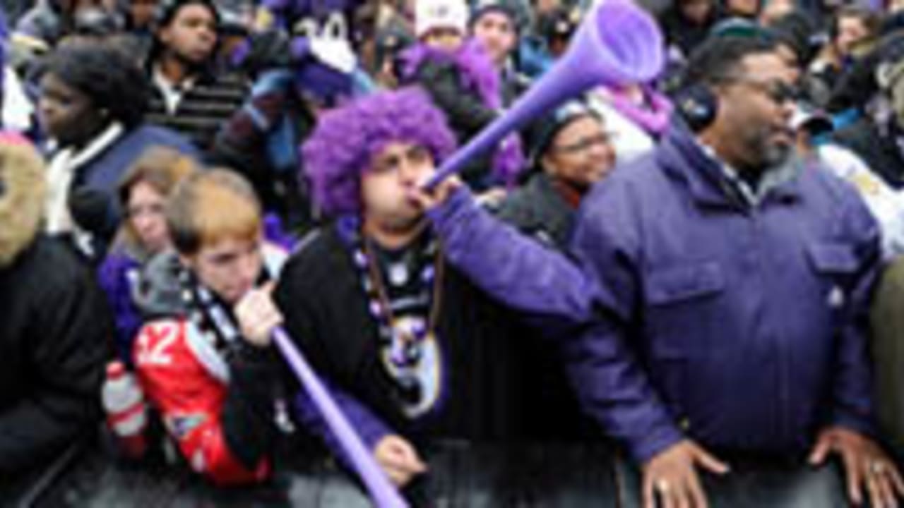 Baltimore Ravens fans celebrate Super Bowl XLVII title