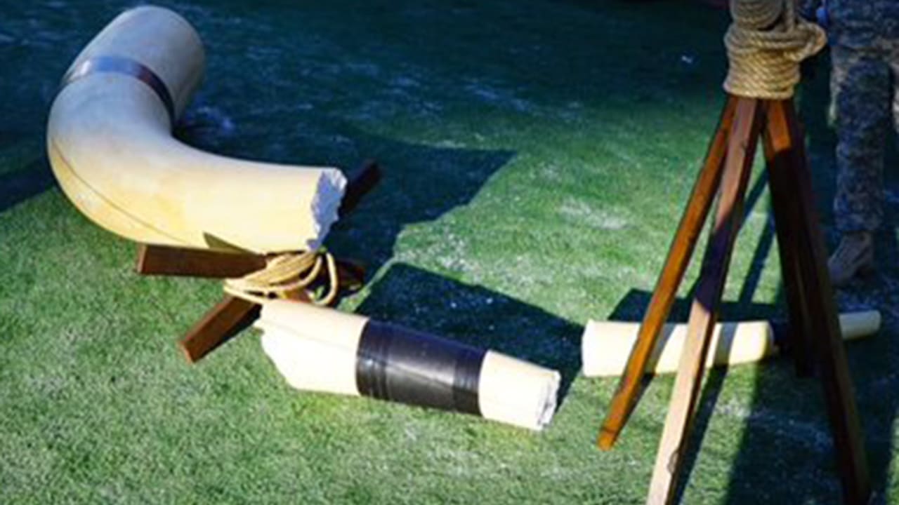 Below zero temperatures crack Vikings horn