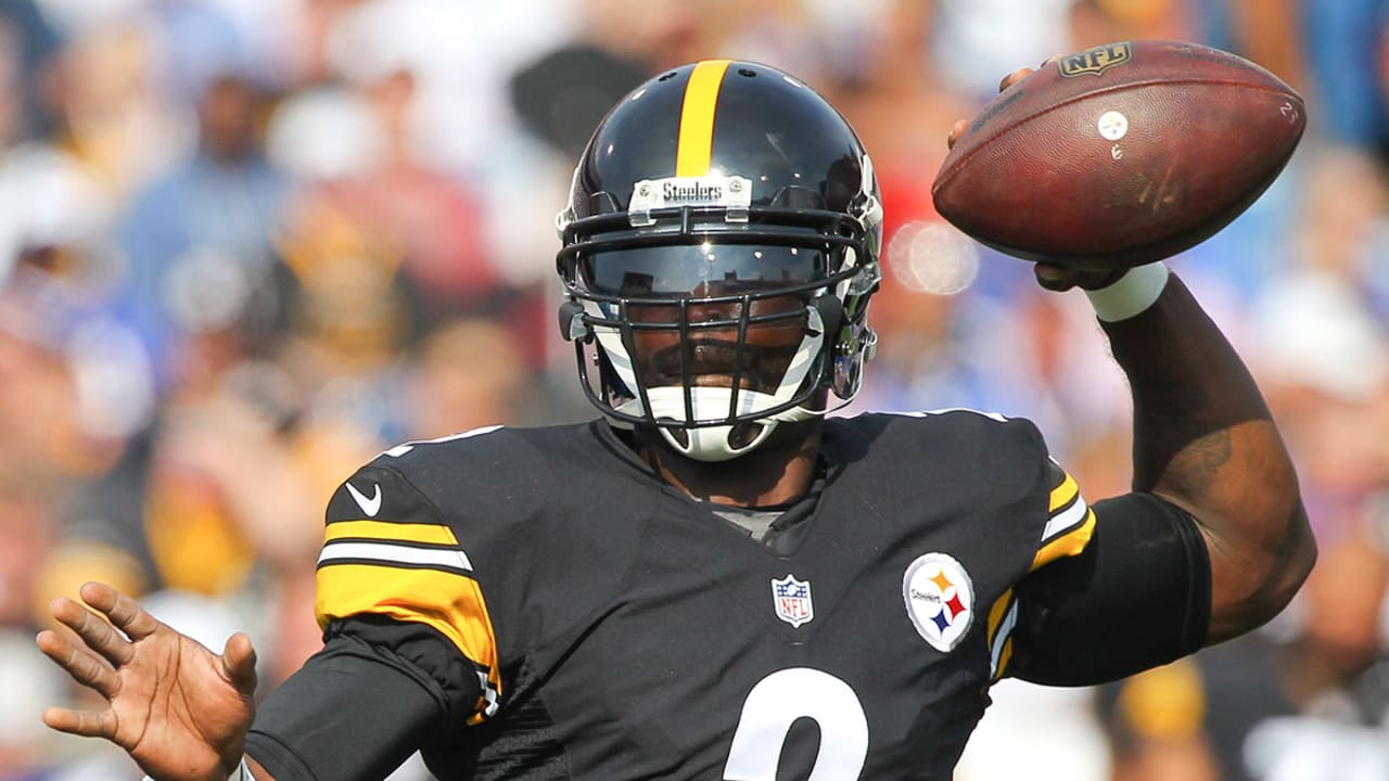 Michael Vick shines in first action with Steelers