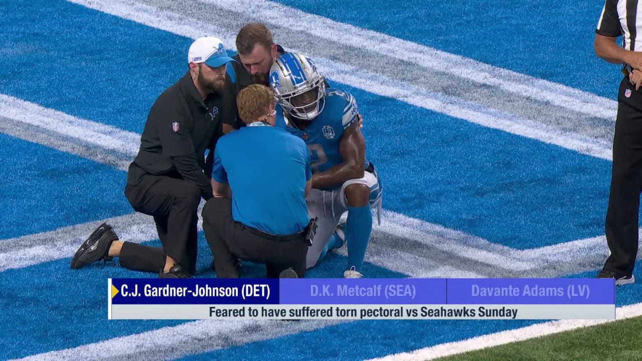 Detroit Lions safety C.J. Gardner-Johnson feared to have suffered torn ...