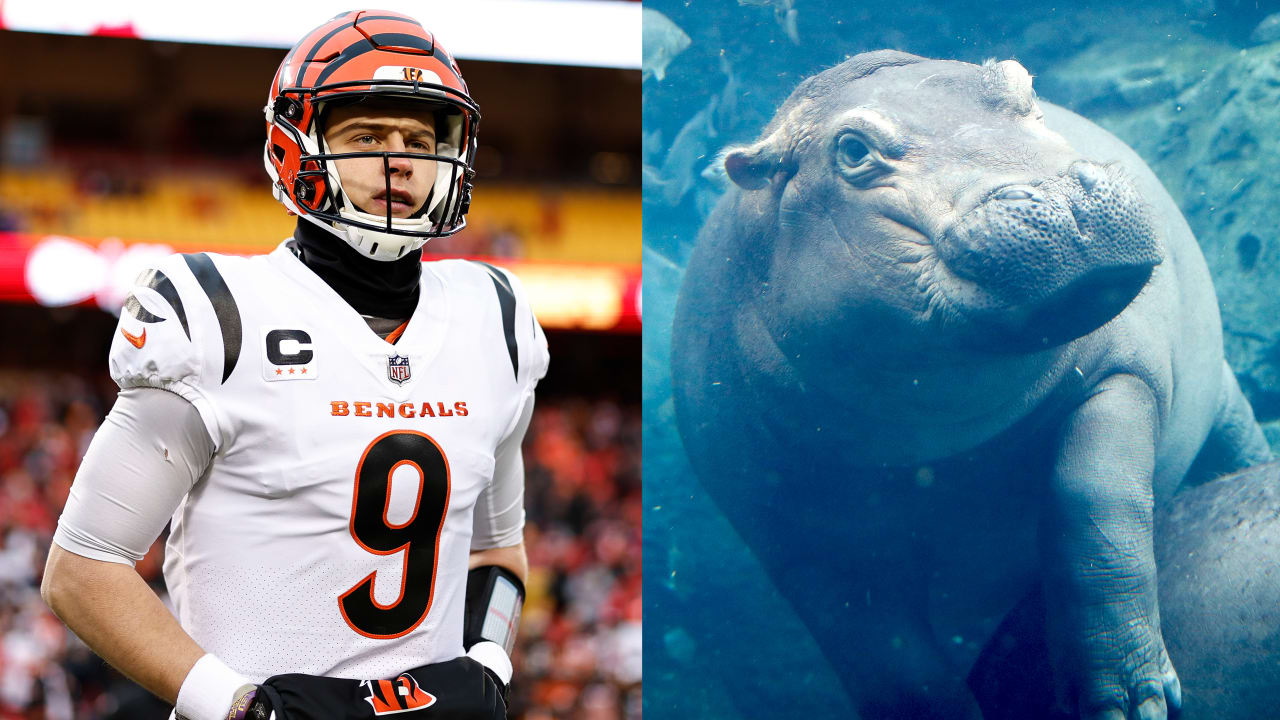 Joe Burrow tops reigning champ Fiona the hippo as Best Cincinnatian; is ...