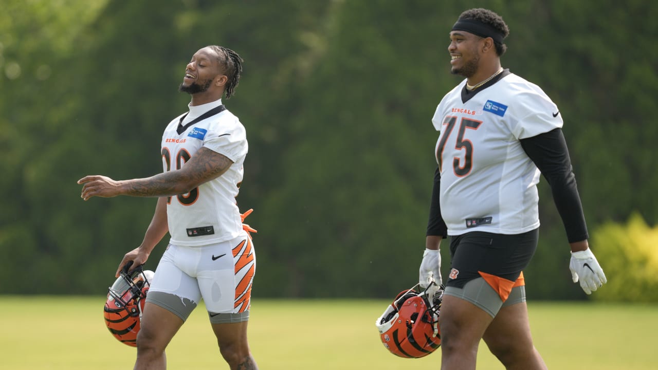 Cincinnati Bengals NFL training camp preview: Key dates, notable ...