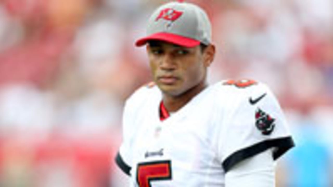 Josh Freeman, Minnesota Vikings agree to contract