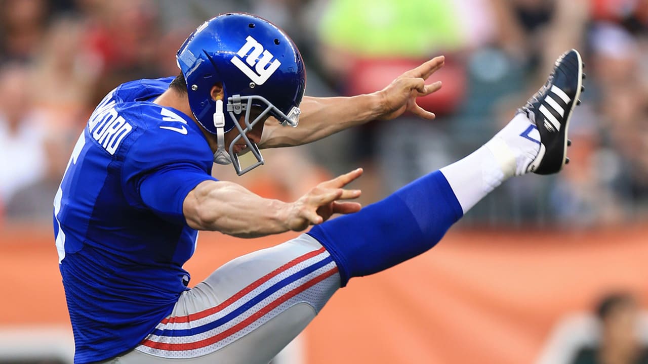 New York Jets sign punter Steve Weatherford