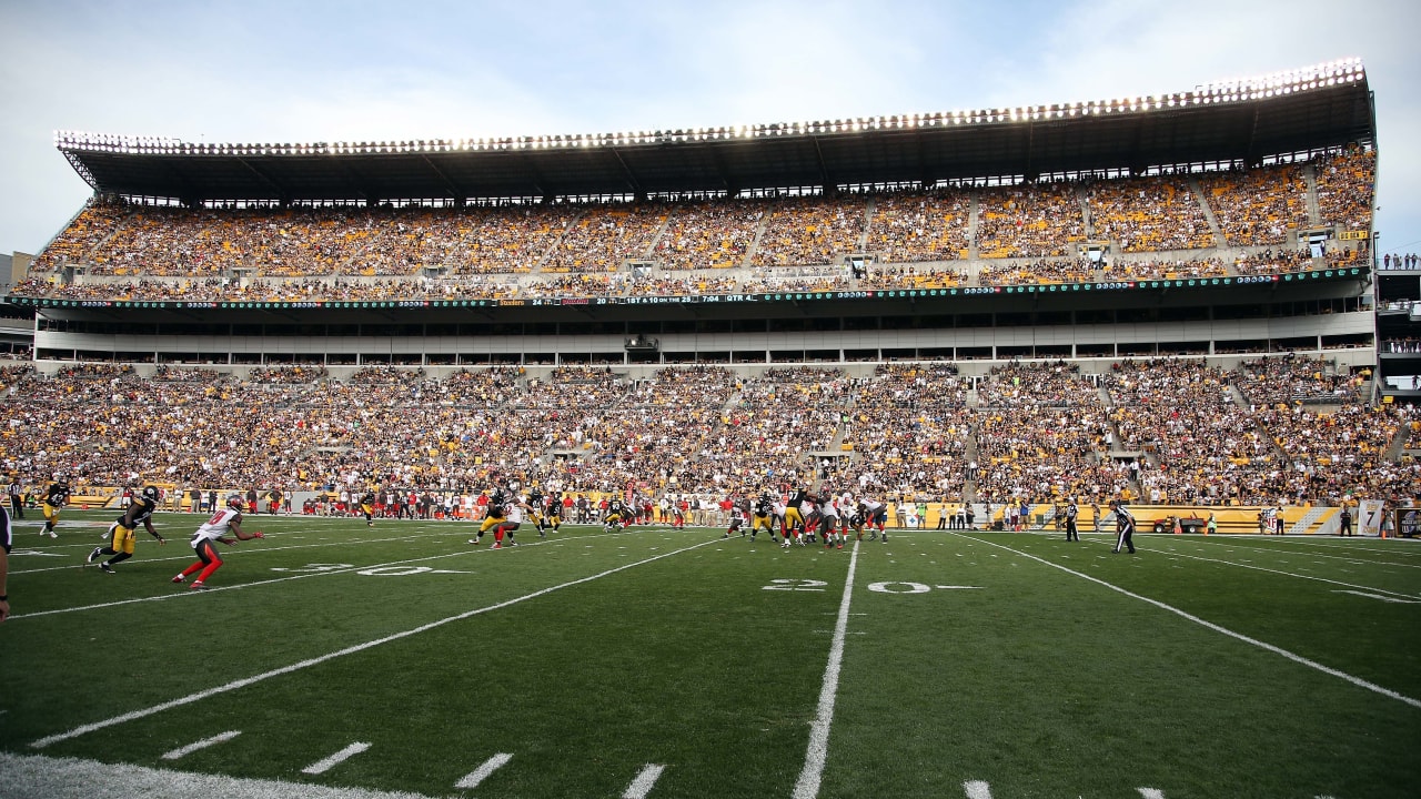 NFL Health and Safety Committee