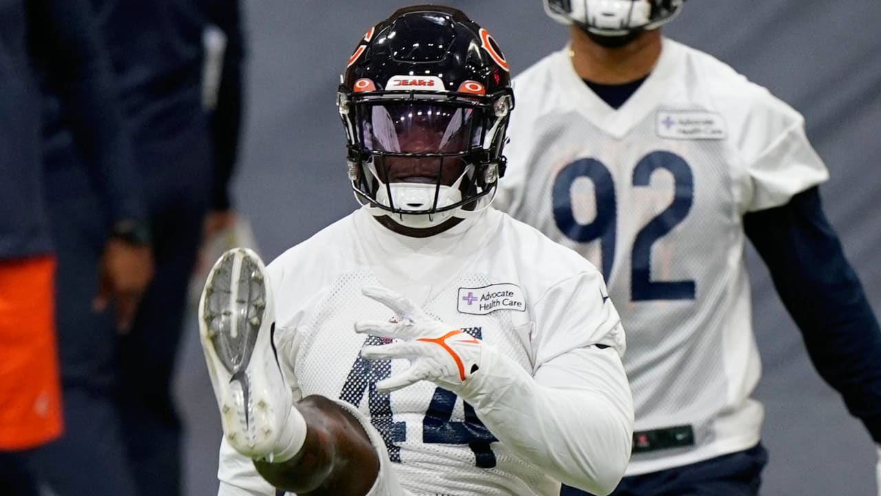 Bears LB Matt Adams arrested, charged with firearm possession