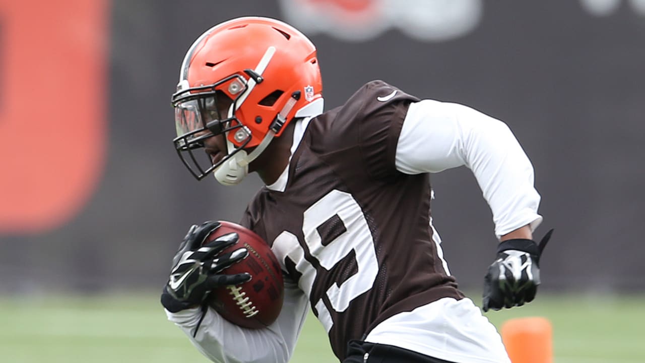 Browns RB coach: Duke Johnson 'an ultimate weapon'
