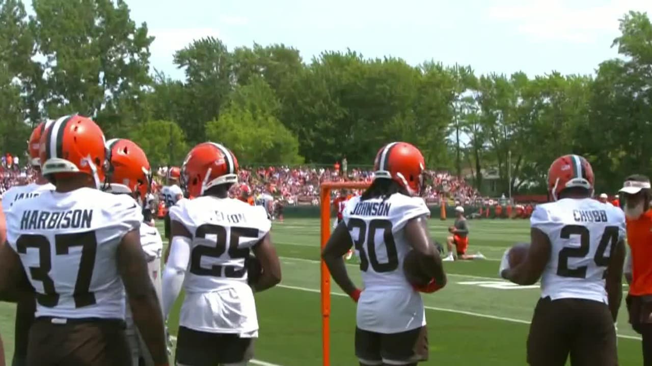 NFL Network's Andrew Hawkins, Scott Pioli: Why the Cleveland Browns are the favorite to win the ...