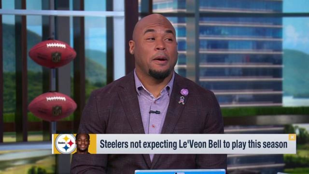 NFL Network's Steve Smith on Pittsburgh Steelers running back Le'Veon ...