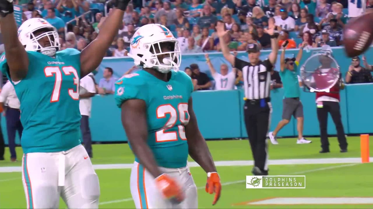 Miami Dolphins running back Sony Michel walks into end zone for goal ...