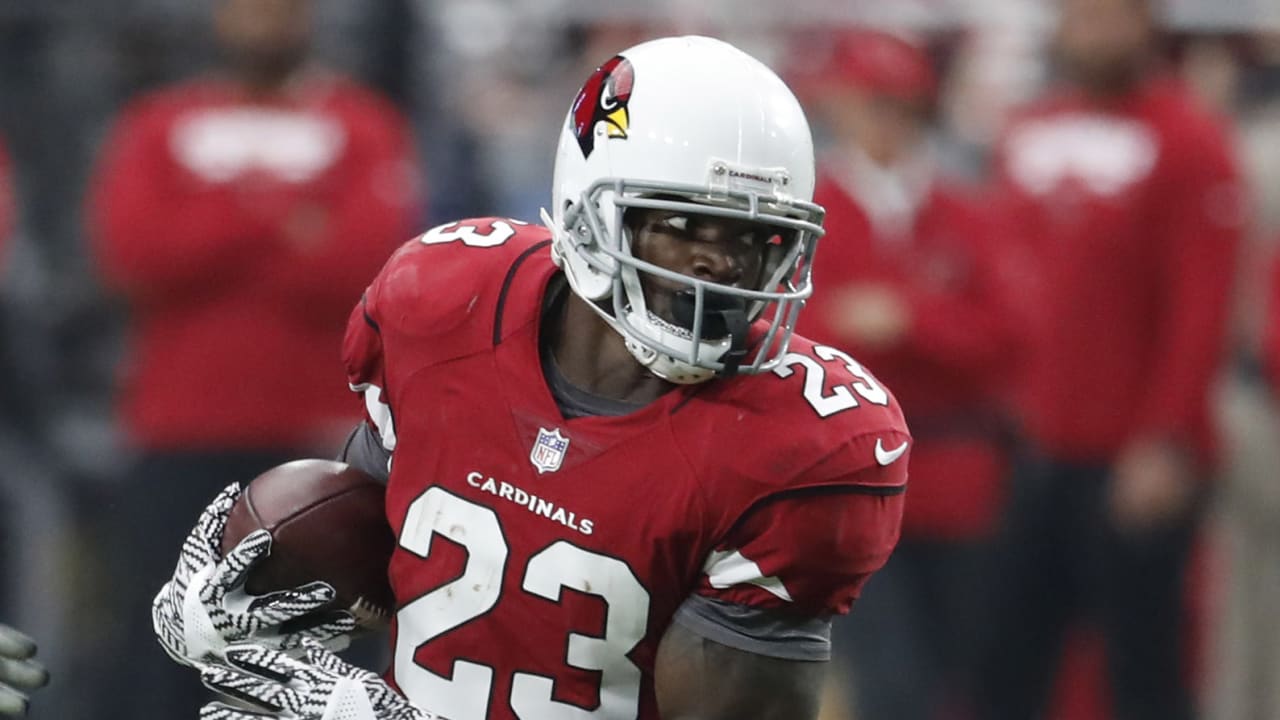 Injuries: Adrian Peterson long shot to play Sunday