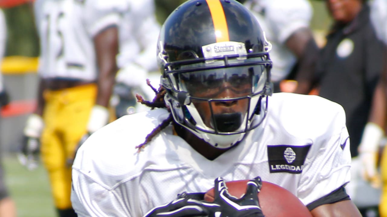 Roethlisberger: Markus Wheaton a 'breakout player'