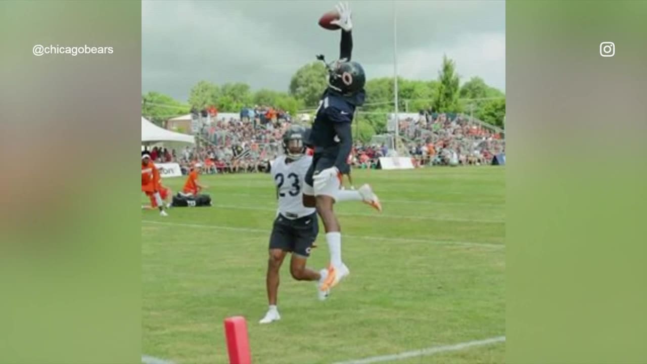 Javon Wims makes incredible one-handed touchdown grab at Bears camp