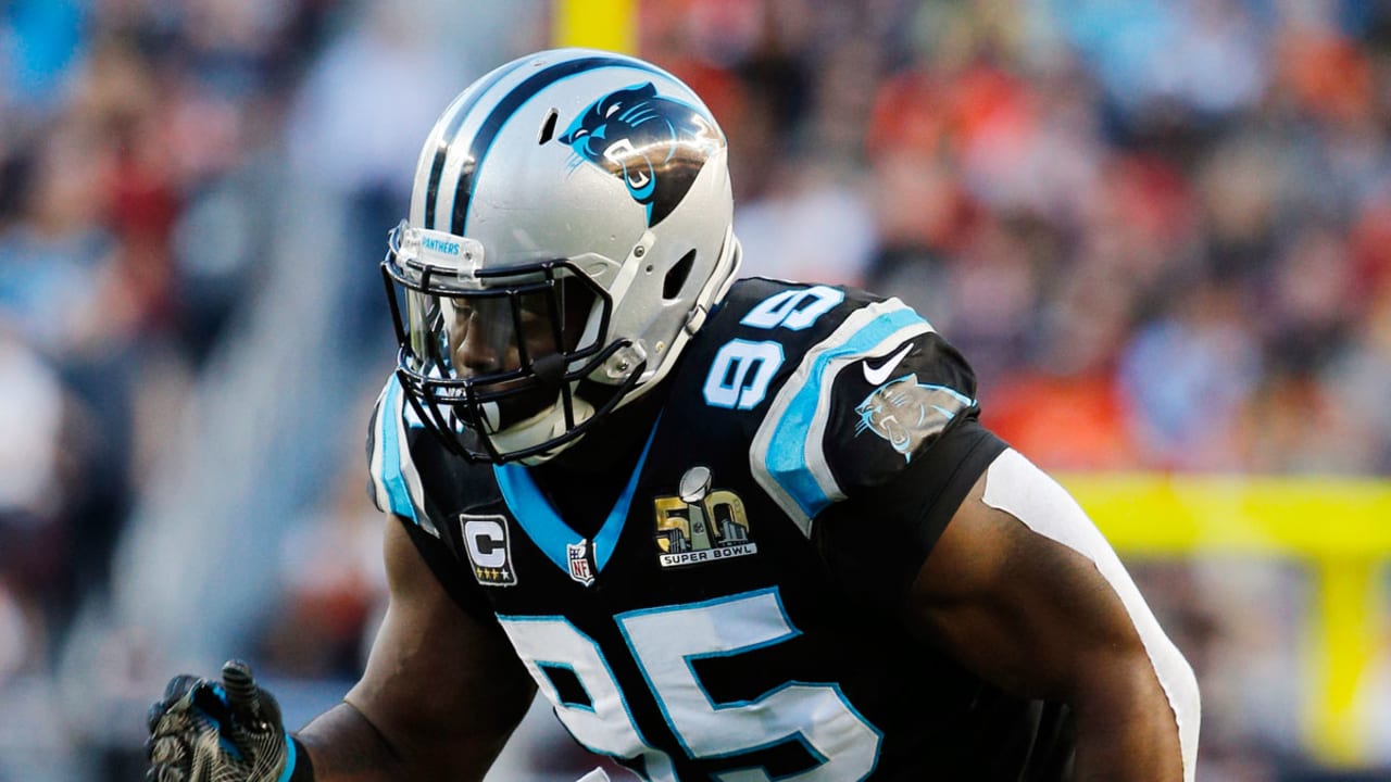 Panthers release veteran DE Charles Johnson