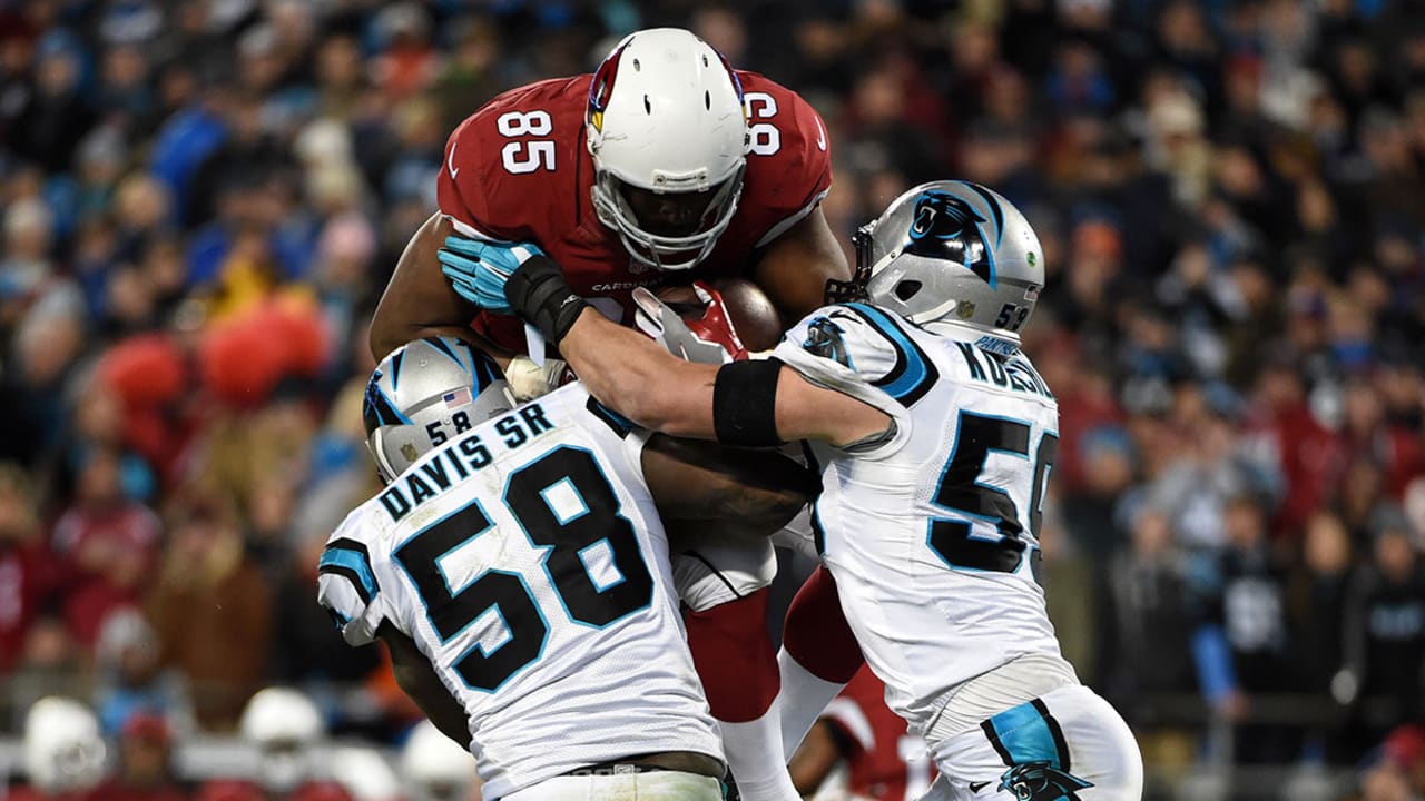 Why the Carolina Panthers will win Super Bowl 50