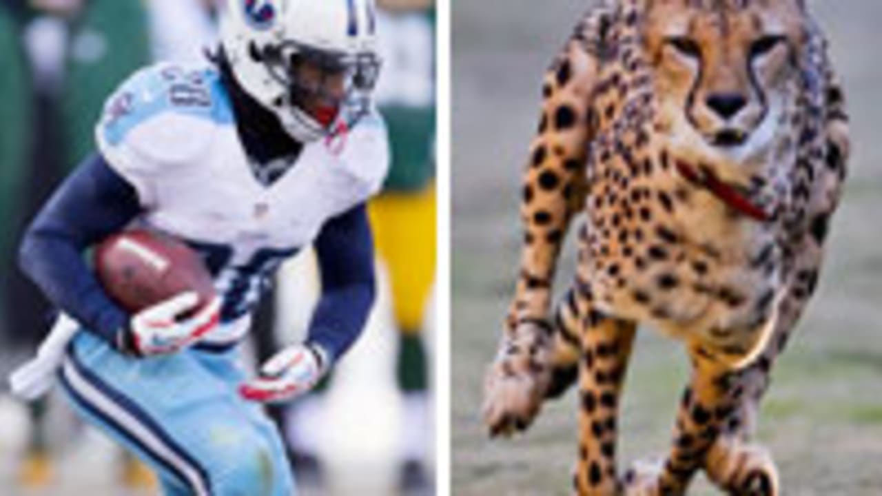 Chris Johnson: Racing a cheetah wasn't 'crazy'