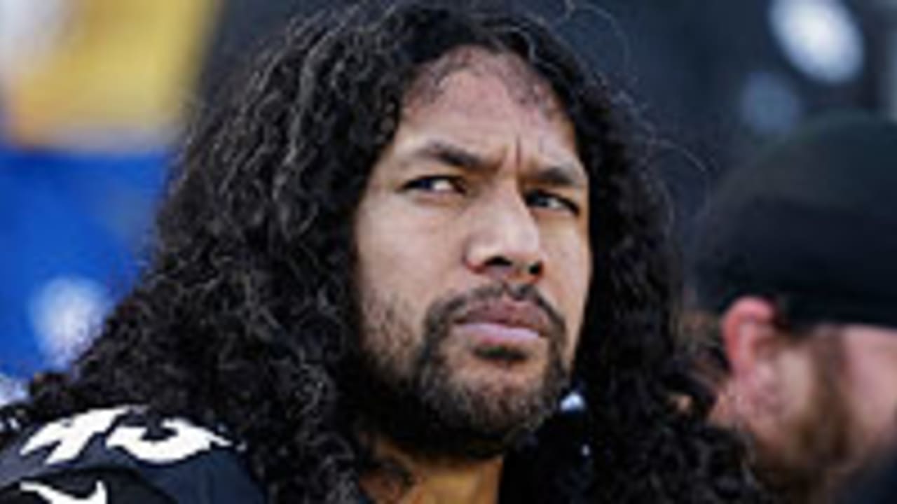 Troy Polamalu says Pittsburgh Steelers have 'an edge'