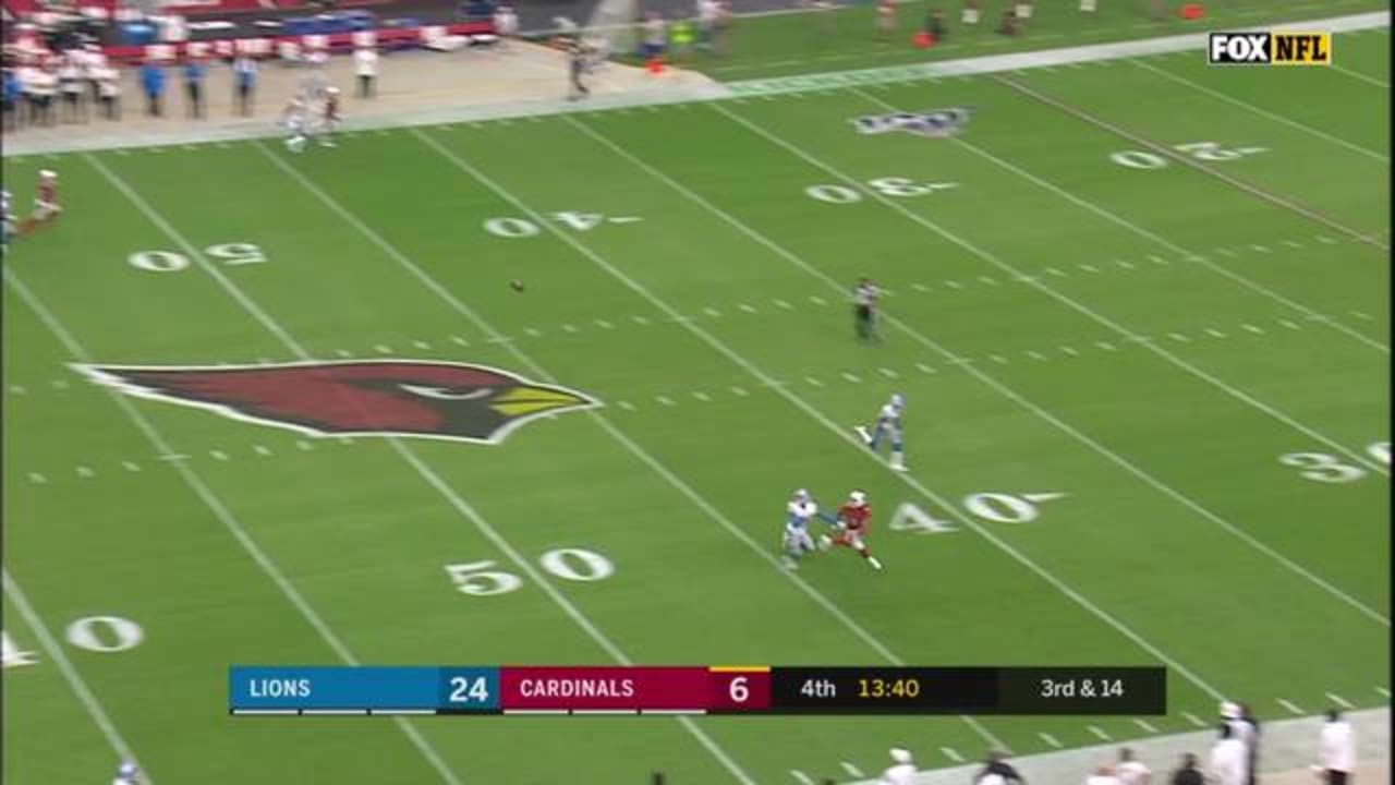Arizona Cardinals wide receiver Larry Fitzgerald highlights | 2019 season