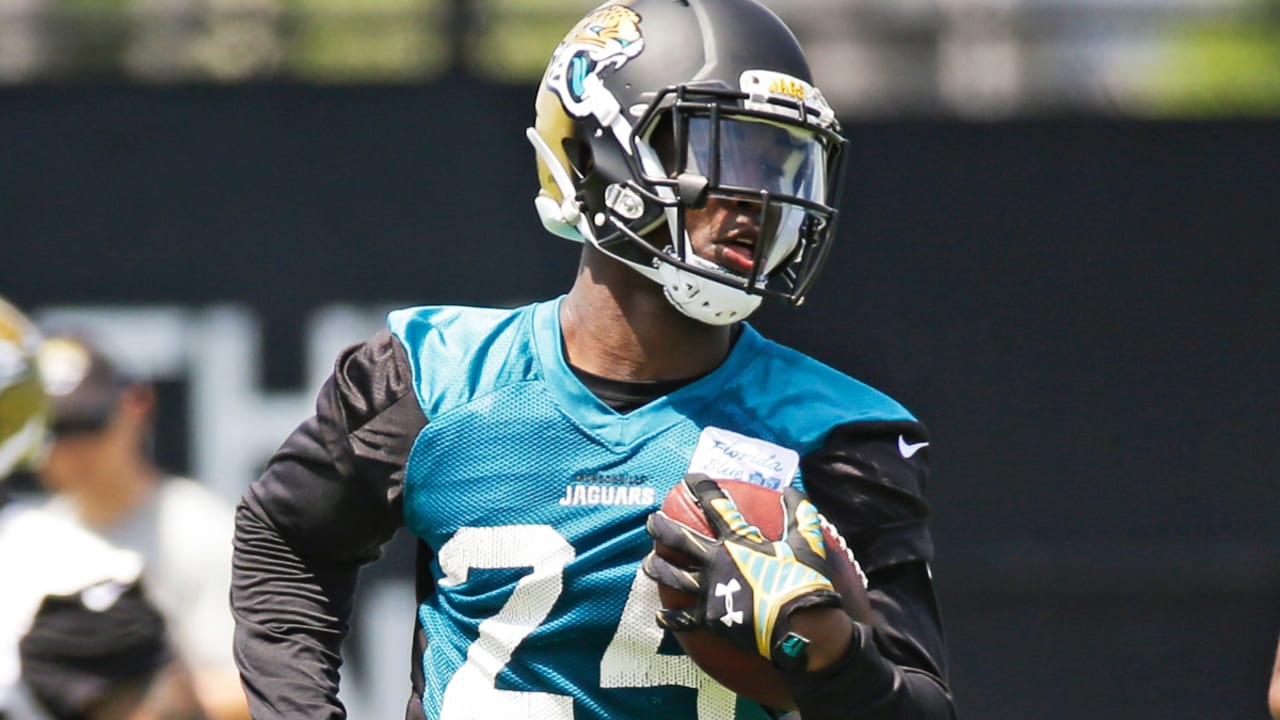 T.J. Yeldon: 'I've got myself as last' on depth chart