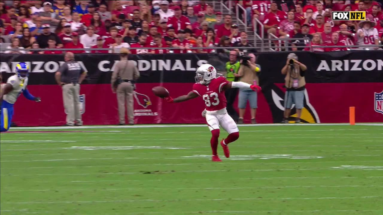 Arizona Cardinals wide receiver Greg Dortch's one-handed catch saves ...