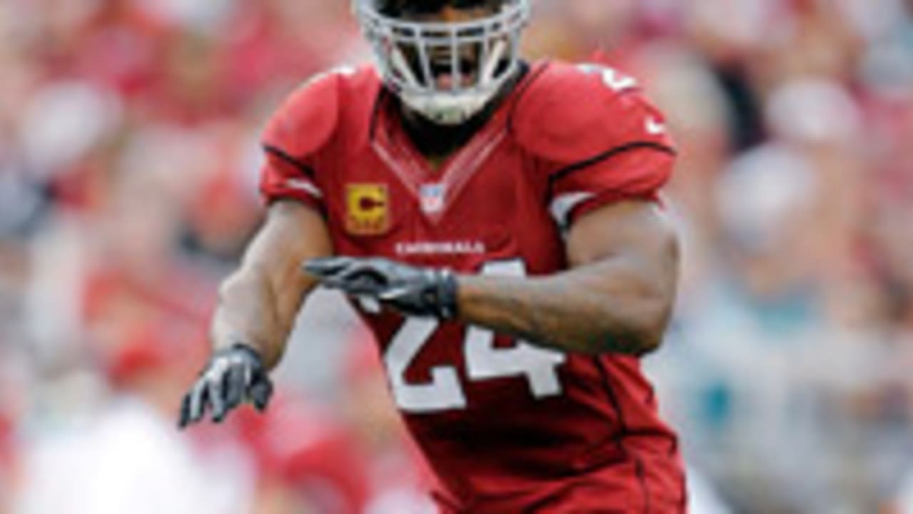 Adrian Wilson released by Arizona Cardinals