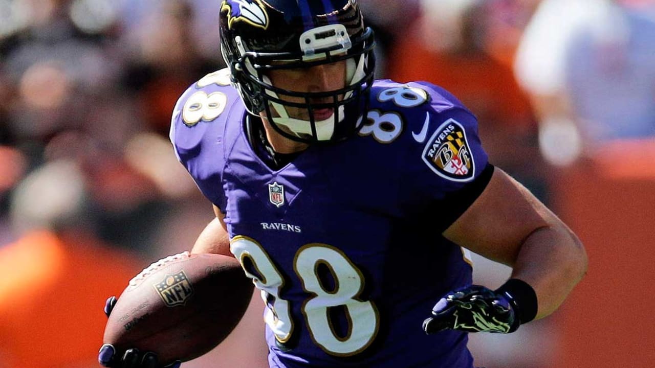 Baltimore Ravens TE Dennis Pitta back at practice