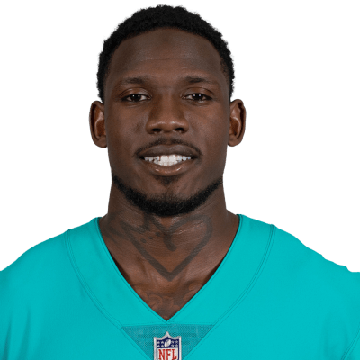 Preston Williams Stats Summary | NFL.com