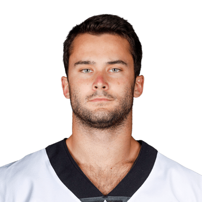 Brian Johnson Stats, News and Video - K | NFL.com