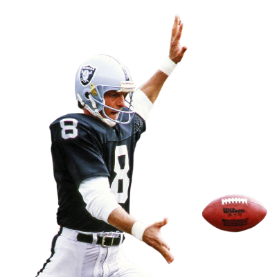 Ray Guy Career Stats | NFL.com